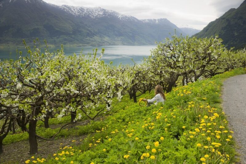 From Bergen: Private Trip to Hardangerfjord - Exploring the Hardangerfjord: A Private Day Trip from Bergen