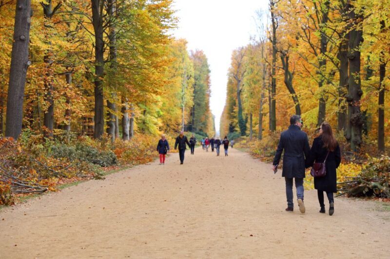 From Berlin: Historical Gems of Potsdam Private Day Trip - Real Traveler Insights