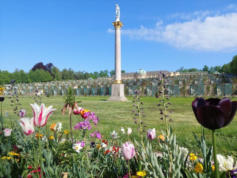 From Berlin: Potsdam Half-Day Guided Tour - Introduction