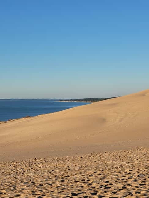 From Biarritz: Dune du Pilat and Arcachon Bay - 100% Private - An authentic journey from Biarritz to the Land of Sand and Sea