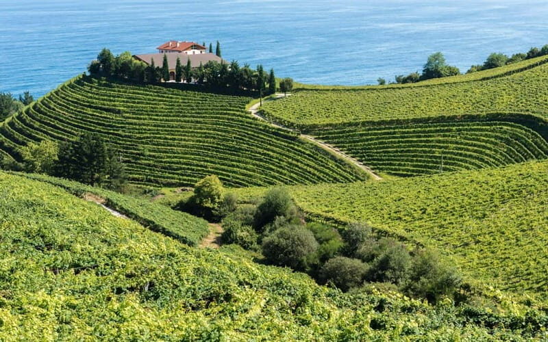 From Bilbao: Excursion to San Sebastián, Hondarribia, and Getaria - Who Is This Tour Best For?