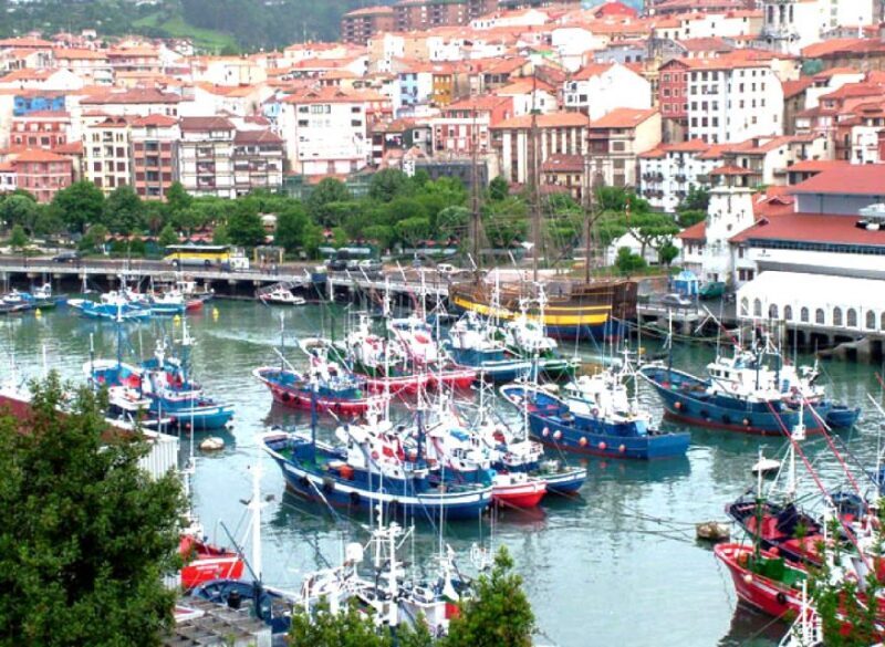 From Bilbao: Gaztelugatxe, Bermeo and Gernika Day Trip - Practical Tips for Making the Most of the Trip