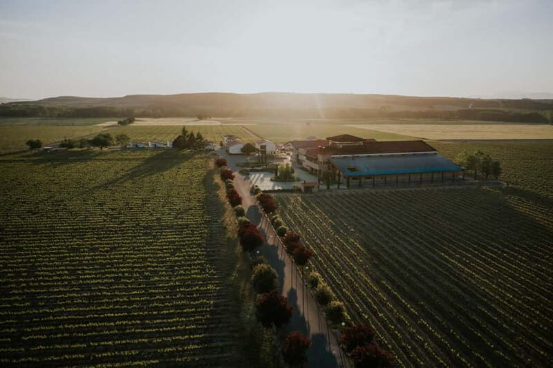 From Bilbao: La Rioja a journey to the vineyards & tradition - Introduction