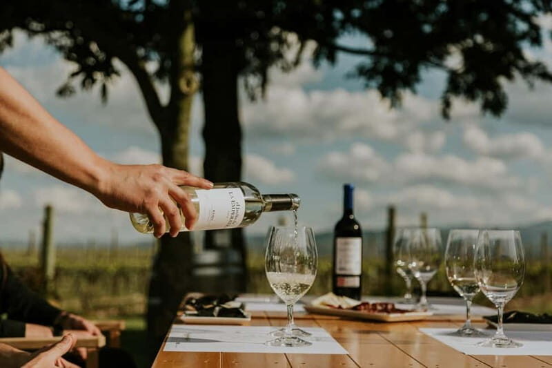 From Bilbao: La Rioja a journey to the vineyards & tradition - What to Expect on the Tour of La Rioja from Bilbao