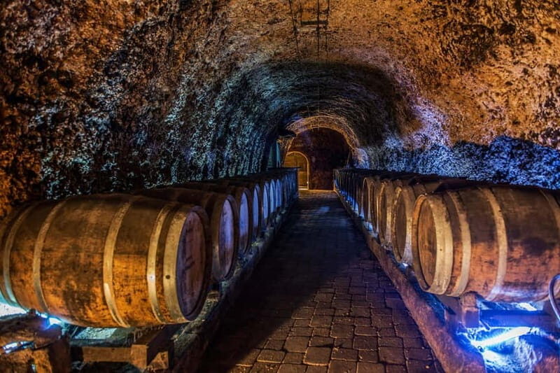 From Bilbao: La Rioja a journey to the vineyards & tradition - Who Is This Tour Best For?