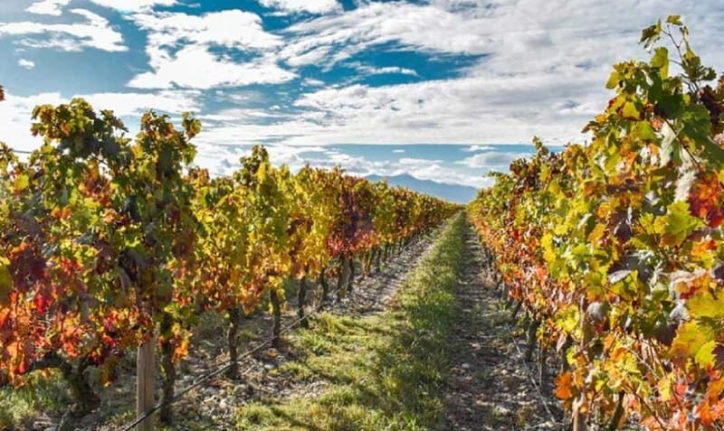 From Bilbao: La Rioja a journey to the vineyards & tradition - Final Thoughts