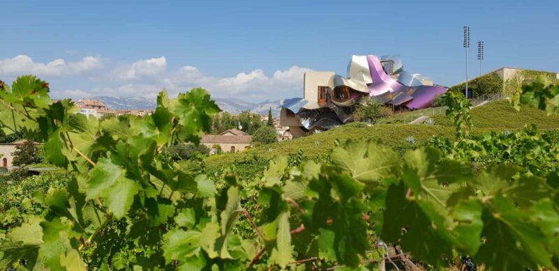 From Bilbao: Private Winery Tour with Wine Tasting & Lunch - Key Points