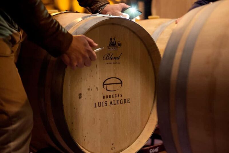 From Bilbao: Private Winery Tour with Wine Tasting & Lunch - Authenticity and Experience