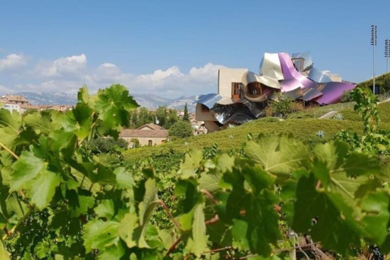 From Bilbao: Rioja Architecture and Wine Tour - Key Points