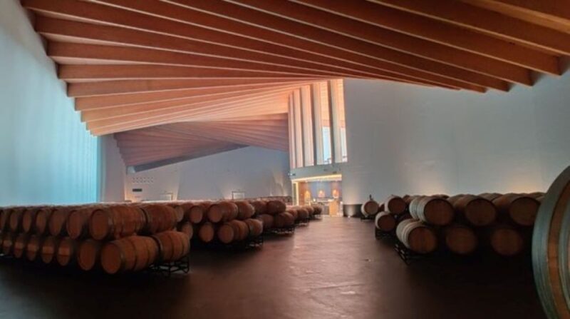From Bilbao: Rioja Architecture and Wine Tour - Authentic Reviews from Past Participants