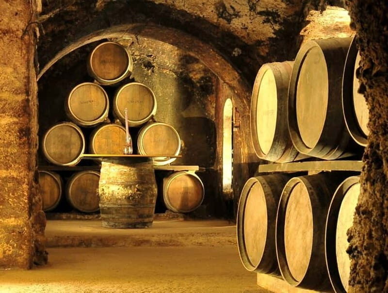 From Bilbao: Rioja Wine Region with Winery & Vitoria-Gasteiz - A Closer Look at the Tour