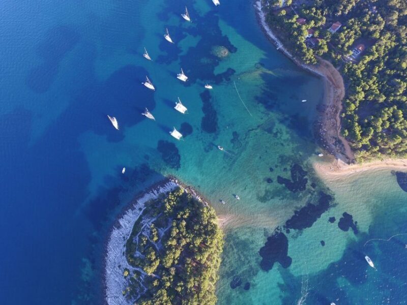 From Biograd: Golden Island of Vrgada Trip with Lunch - Key Points