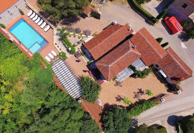 From Biograd: Wine and Olive Oil Tasting in Ranjevia Dvori - What the Reviews Say