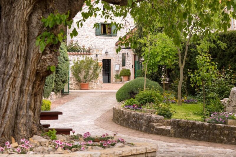 From Biograd: Wine and Olive Oil Tasting in Ranjevia Dvori - The Practicalities: What You Need to Know