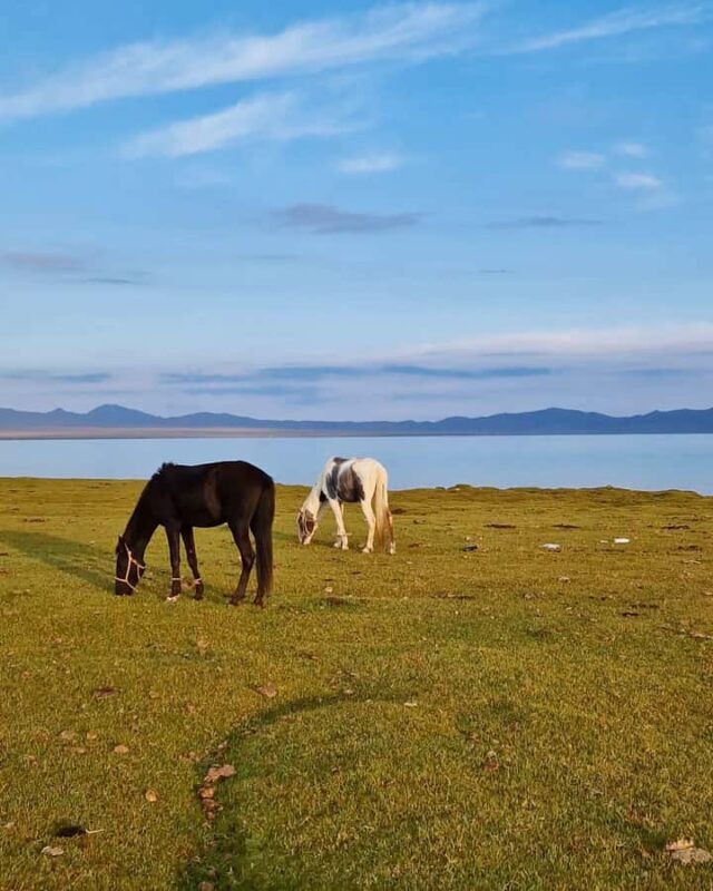 From Bishkek: 7-Day Kyrgyzstan group tour, the nomad's path - FAQ