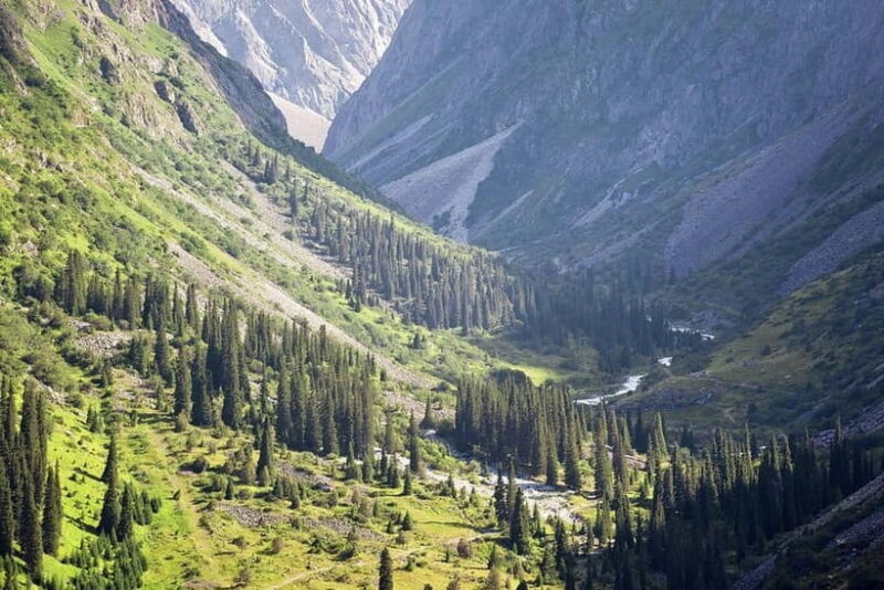 From Bishkek: Half-Day Excursion to Ala-Archa National Park - Exploring the Beauty of Kyrgyzstan: A Review of the Half-Day Excursion to Ala-Archa National Park