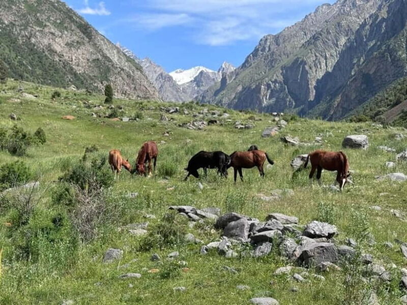 From Bishkek : Sokuluk Gorge & Belogorka Waterfall (One Day) - Authentic Experiences, Guided by Knowledgeable Locals