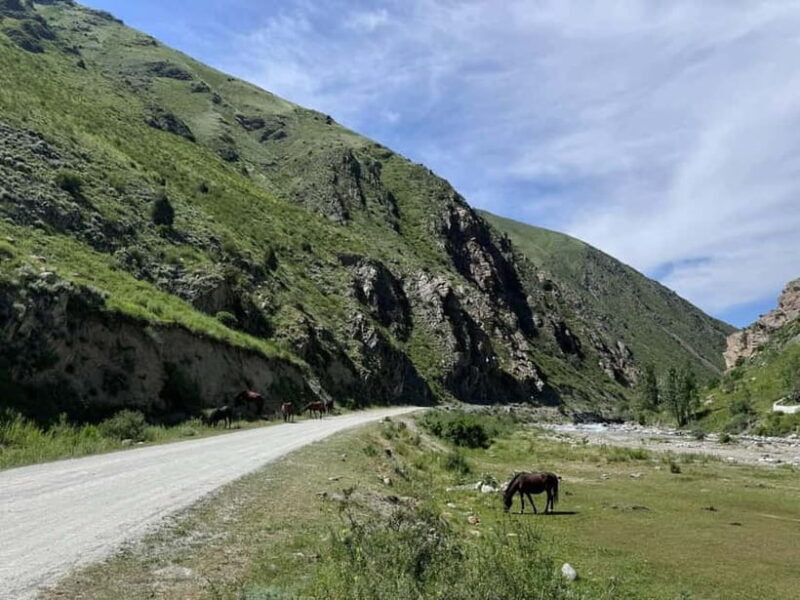 From Bishkek : Sokuluk Gorge & Belogorka Waterfall (One Day) - Who Will Love This Tour?