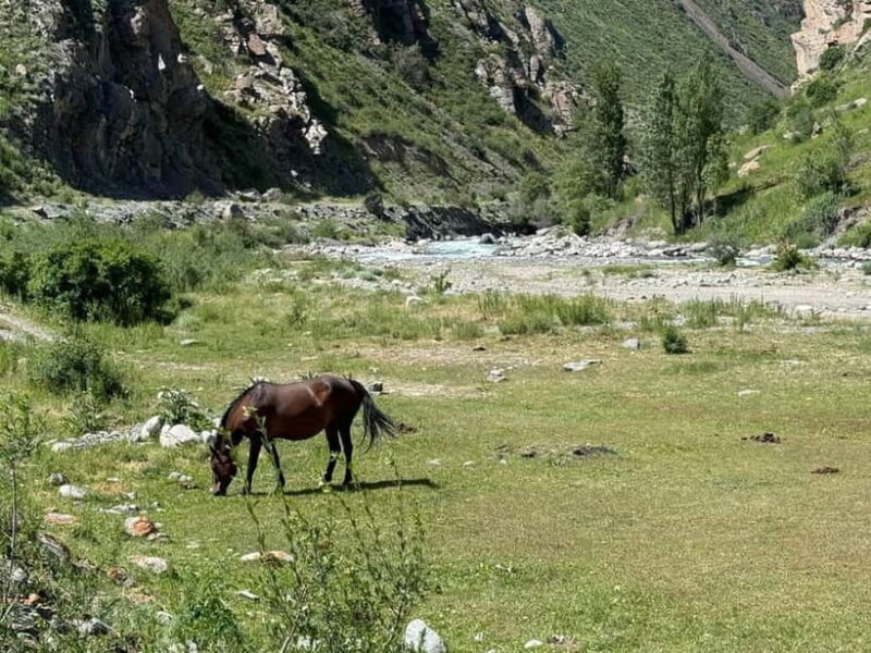 From Bishkek : Sokuluk Gorge & Belogorka Waterfall (One Day) - The Sum Up: Why This Trip Stands Out