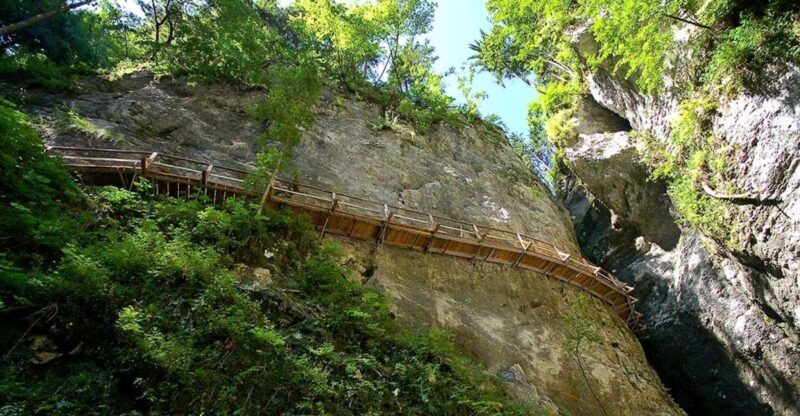 From Bled: Half-Day Pokljuka Gorge Trail Hike - A Deep Dive into the Experience