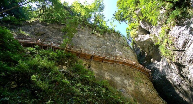 From Bled: Half-Day Pokljuka Gorge Trail Hike - Final Thoughts: Is It Worth It?