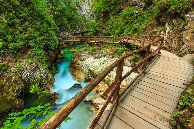 From Bled: Self-Guided E-Bike Tour to Vintgar Gorge - The Value of This Experience