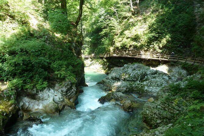 From Bled: Self-Guided E-Bike Tour to Vintgar Gorge - Who Will Love This Tour