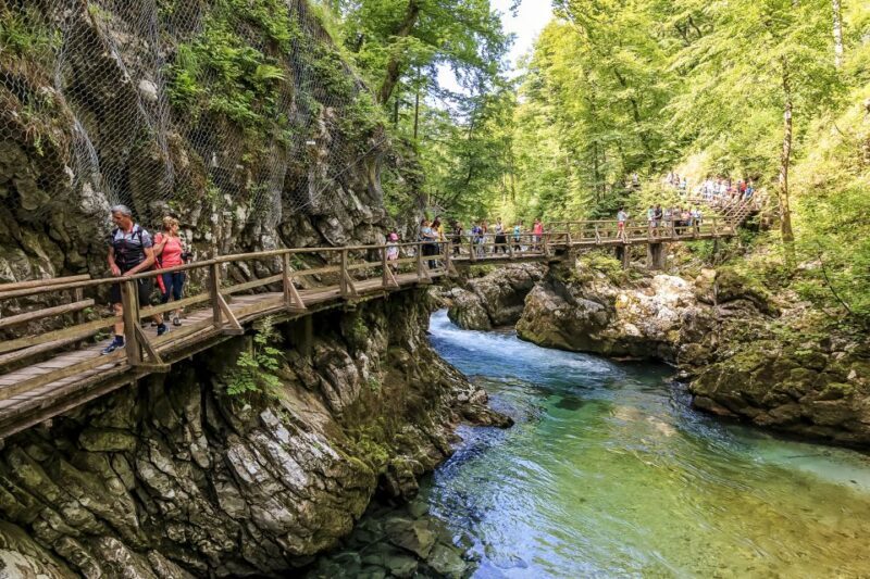 From Bled: Self-Guided E-Bike Tour to Vintgar Gorge - Introduction to the Experience
