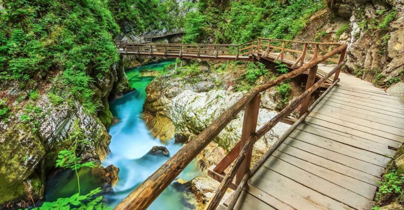 From Bled: Self-Guided E-Bike Tour to Vintgar Gorge - Authentic Experiences and Practical Tips