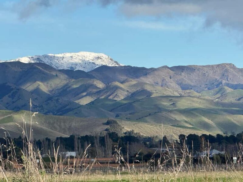 From Blenheim/Picton: Marlborough Gourmet Wine Tasting Tour - FAQ: Your Practical Questions Answered