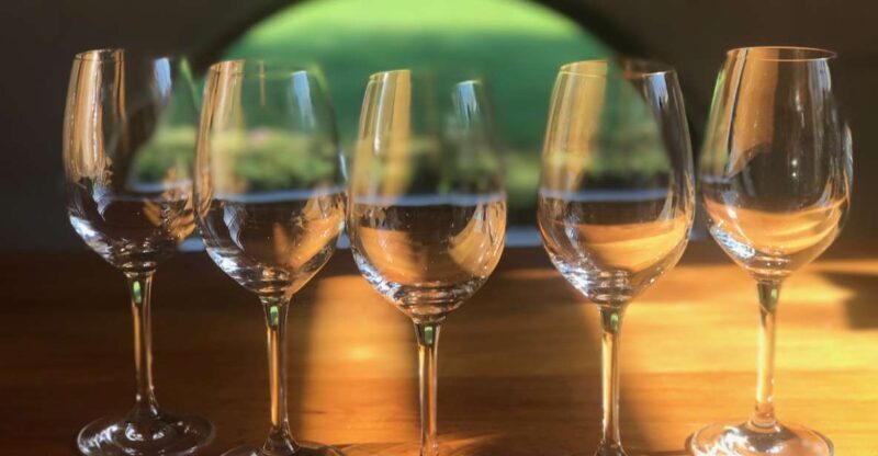 From Blenheim: Private Customizable Winery and Omaka Tour - What People Say