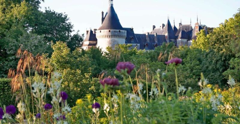 From Blois: Chaumont-sur-Loire, Nature, Wine And History - An Authentic Ride through the Loire Valley