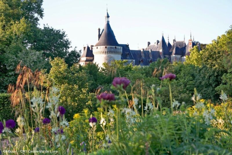 From Blois: Chaumont-sur-Loire, Nature, Wine And History - The Price and Value