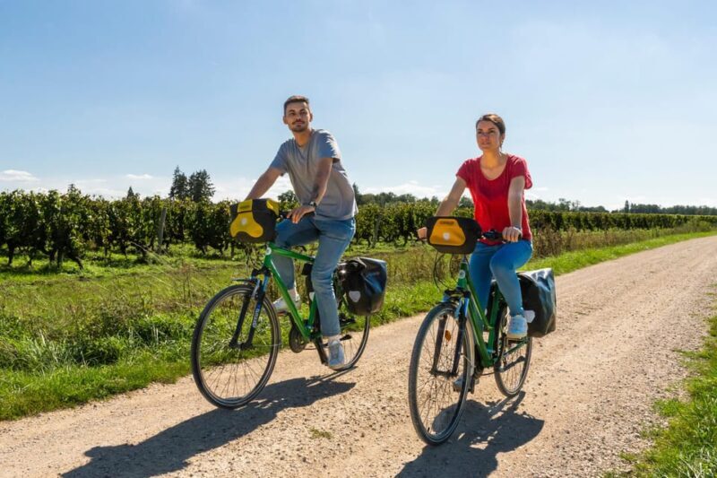 From Blois: Cheverny, Wine Tasting & Cycling - Key Points