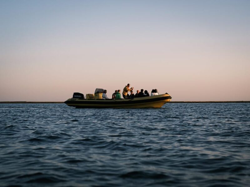 From Boat to Table: Ria Formosa Sunset and Tasting - An In-Depth Look at the Experience