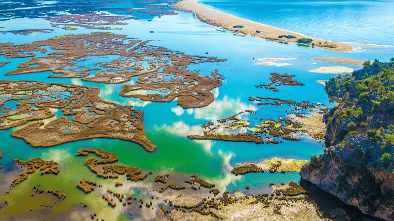 From Bodrum: Dalyan, Turtle Beach, and Mud Baths Day Trip - A Detailed Look at What to Expect