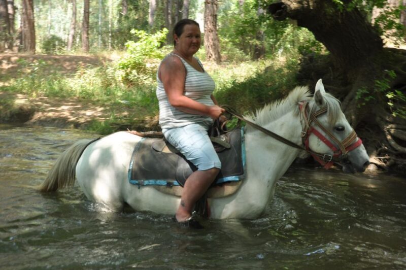 From Bodrum/Gümbet: Guided Horseback Riding Expereince - From Bodrum/Gümbet: Guided Horseback Riding Experience — A Practical Look at a Scenic Equestrian Tour