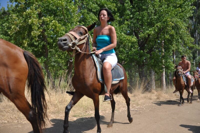 From Bodrum/Gümbet: Guided Horseback Riding Expereince - Practical Tips for Travelers