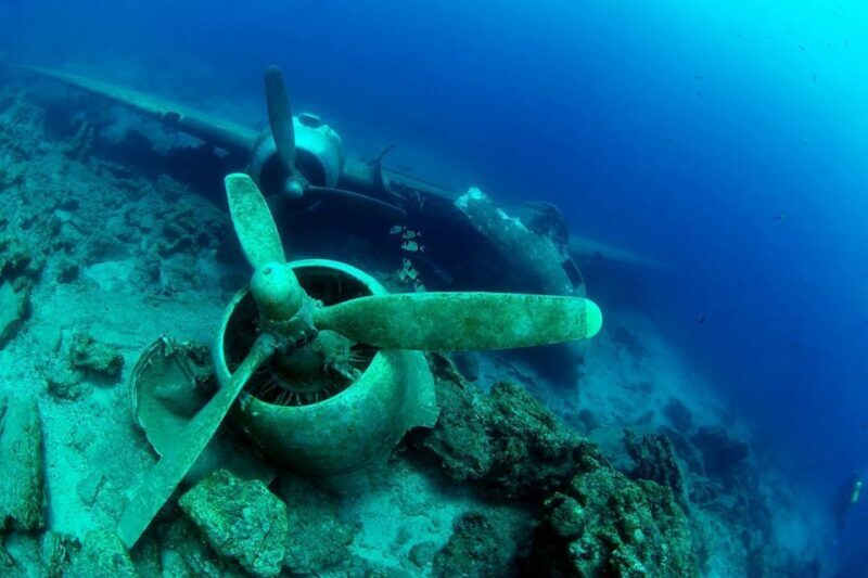 From Bodrum: Scuba Diving in the Aegean Sea - Why Travelers Love It