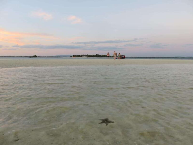 From Bohol: Island Sunset Watching and Snorkeling Tour - What’s Not Included