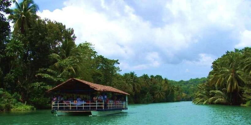 From Bohol & Panglao Island: Full-Day Bohol Tour - What To Expect from the Bohol Full-Day Tour