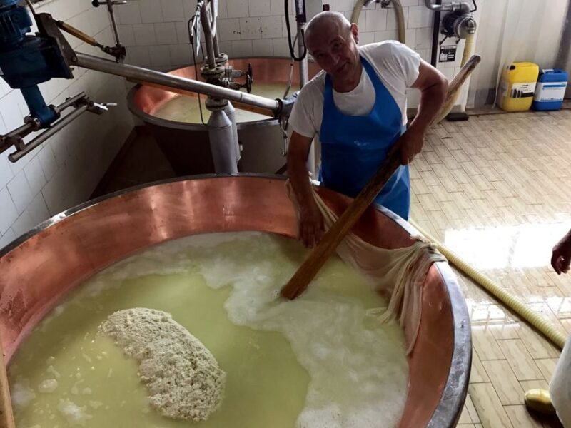 From Bologna: Emilia Excellence Food Tour - Key Points