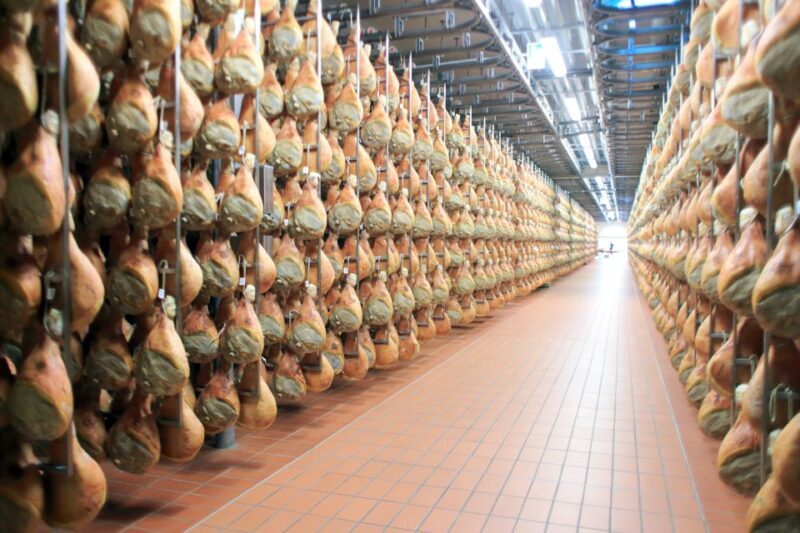From Bologna or Modena: Parma Gastronomic Tour with Lunch - The Sum Up