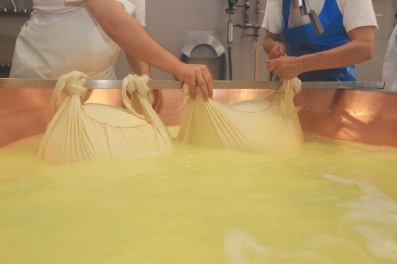From Bologna: Parma Cheese & Ham Factory Tours and Tastings - From Cheese to Ham: Parma’s Other Great Tradition