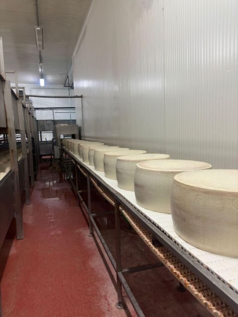 From Bologna: Parmesan Cheese & Balsamic Vinegar Tour+Lunch - The Perfect Audience