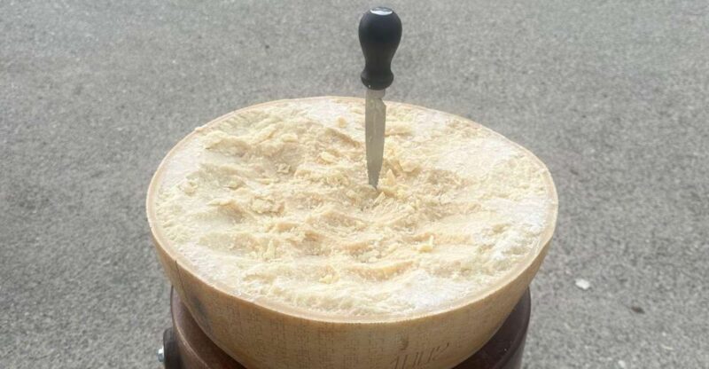 From Bologna: Parmesan Cheese & Balsamic Vinegar Tour+Lunch - FAQs