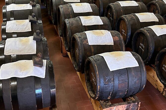 From Bologna: Parmesan Cheese & Balsamic Vinegar Tour+Lunch - Who Should Consider This Tour?