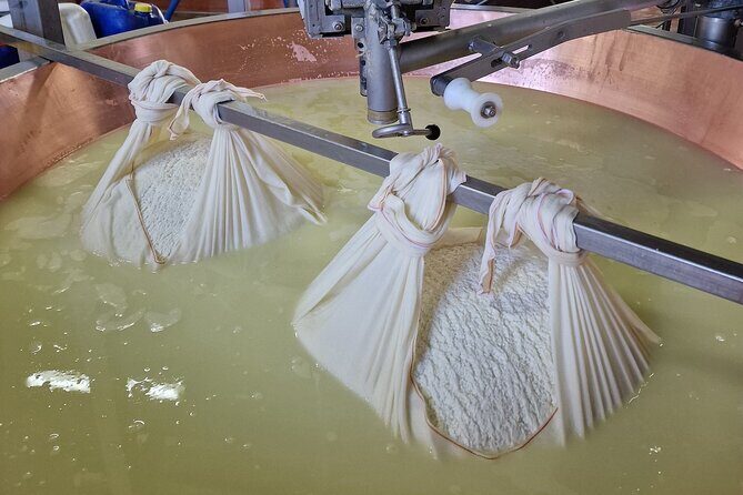 From Bologna: Parmesan Cheese & Balsamic Vinegar Tour+Lunch - FAQs