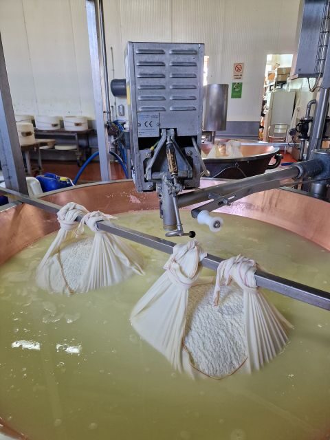 From Bologna: Parmesan, Vinegar, Lambrusco with Transfer - An In-Depth Look at the Tour Experience