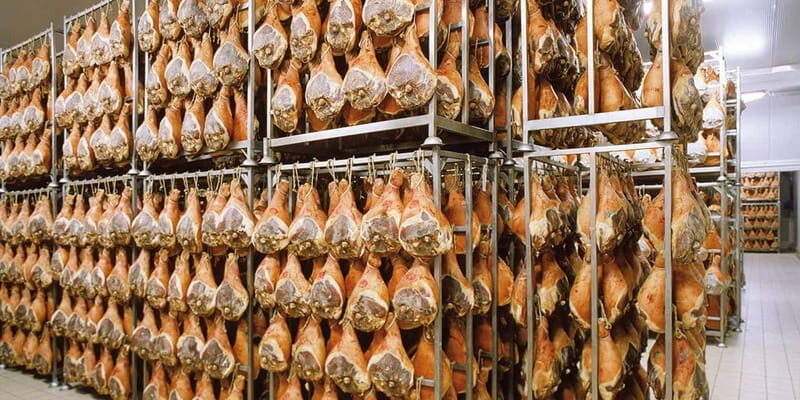 From Bologna: Parmesan, Wine, and Prosciutto Tour - A Closer Look at the Itinerary